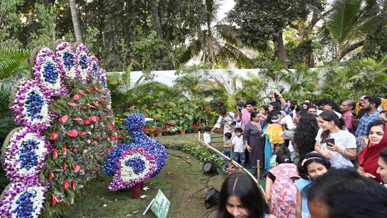 Three-day Mumbai Flower Festival concludes on Monday, attracting 1 lakh ...