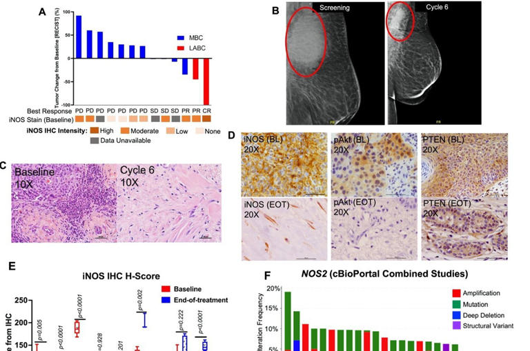 A more effective treatment for aggressive breast cancer: Two inhibitor ...