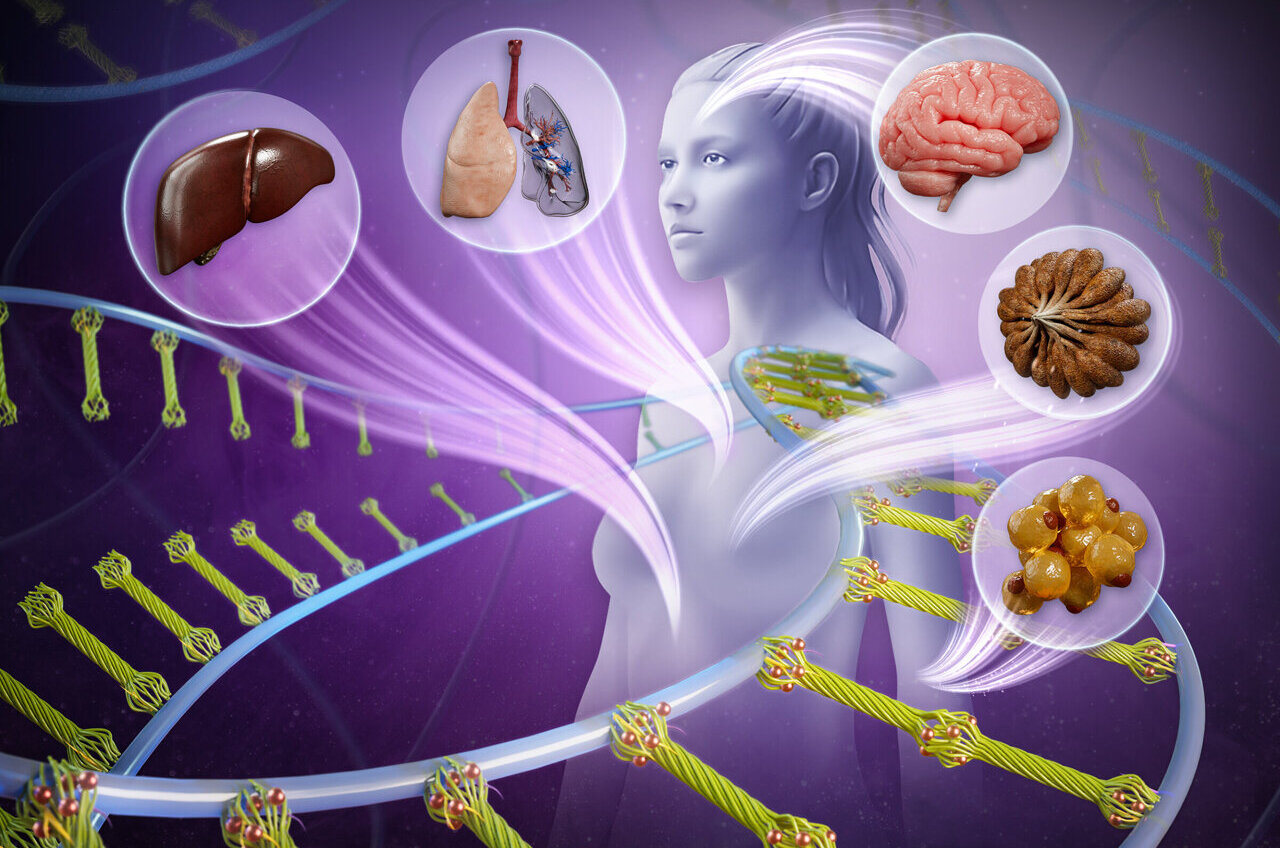 A novel biomaterial for regenerative medicine: Scientists develop ...