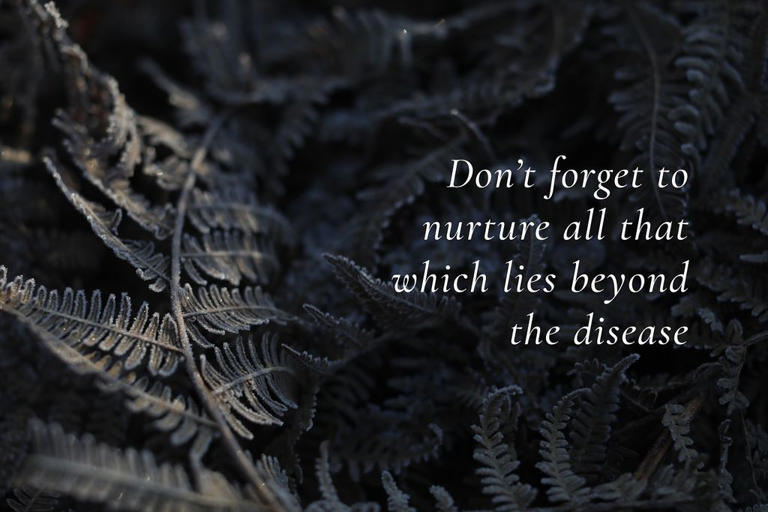 Princess Kate appears in personal new photo taken by Prince Louis to ...