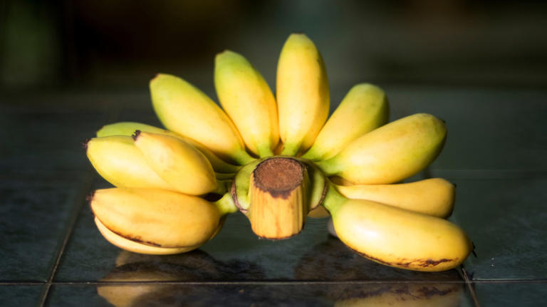 13 Types Of Bananas You'll Wish You Tried Sooner