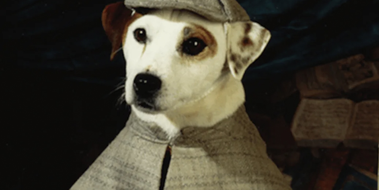 The Most Beloved TV Dogs Of All Time