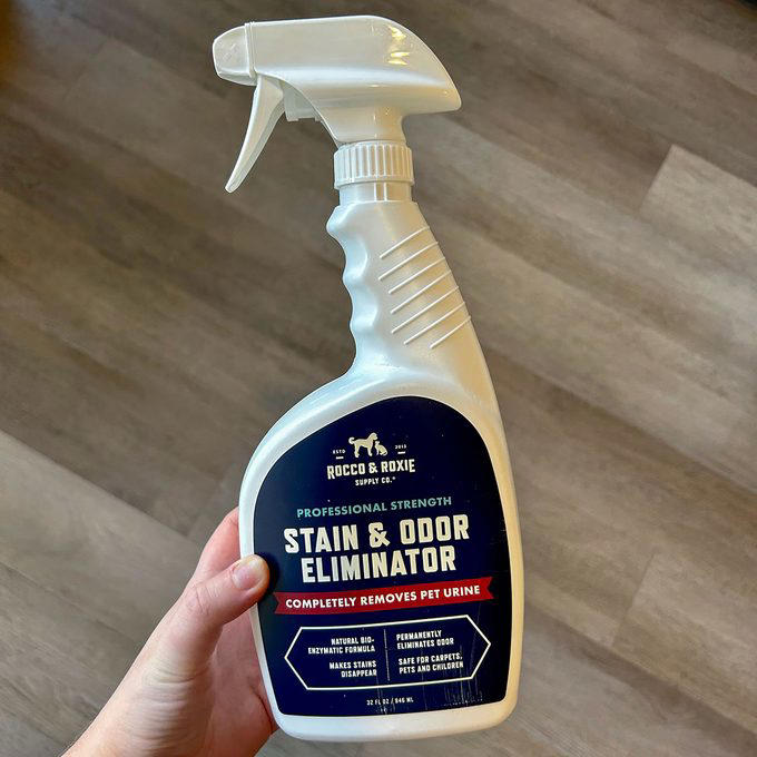 The 7 best pet stain removers of 2026, tested and reviewed