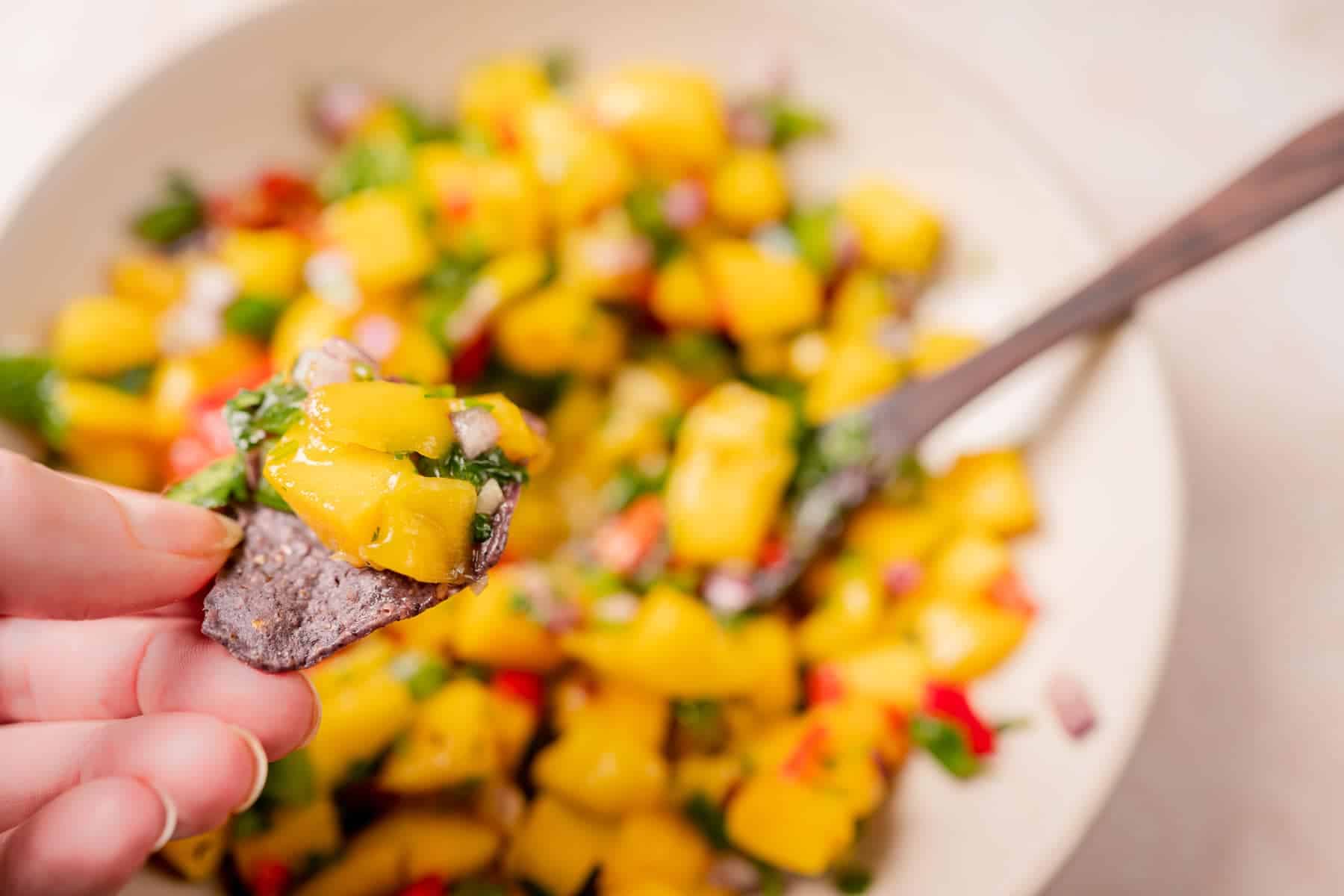 19 Creative Recipes To Keep It Light And Tasty