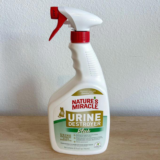 The 7 best pet stain removers of 2026, tested and reviewed