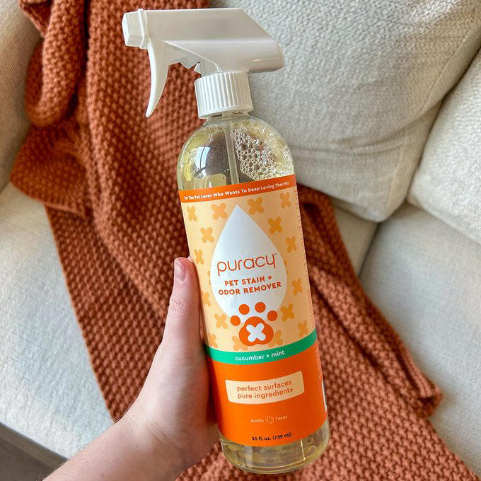 The 7 best pet stain removers of 2026, tested and reviewed