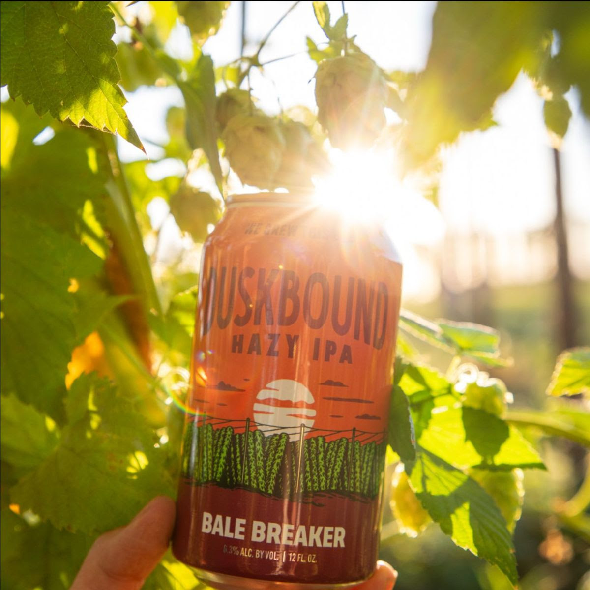 Bale Breaker Introduces Duskbound Hazy IPA
