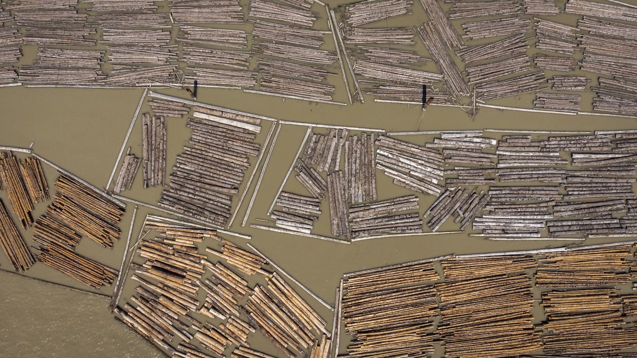 Trump's claim the U.S. doesn't need Canadian lumber 'not true': B.C ...