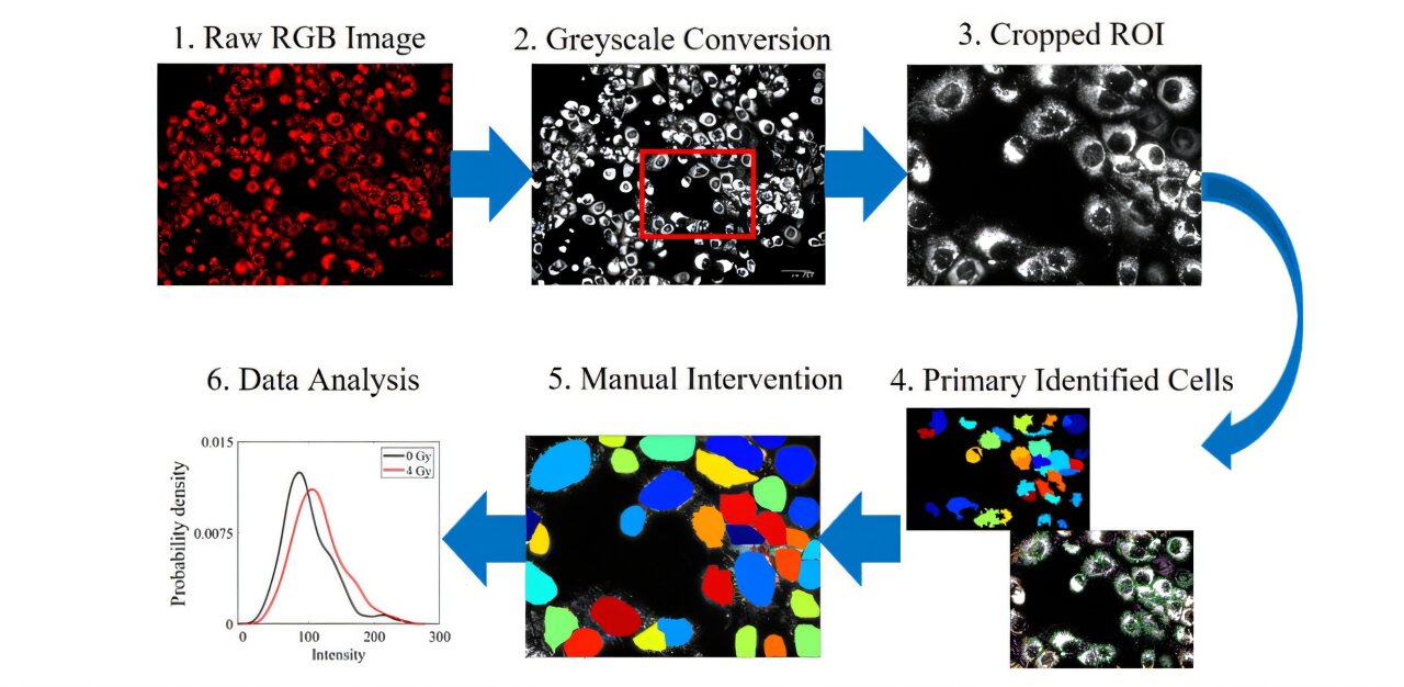 Microscopy approach offers new way to study cancer therapeutics at ...