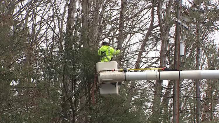 PPL electric crews working year round on tree removal to prevent outages
