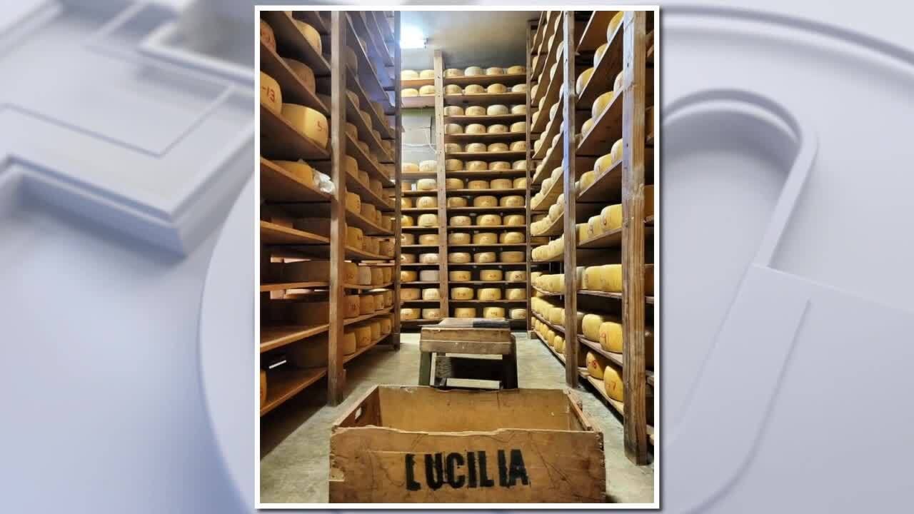 Bay Area cheese factory shuts down