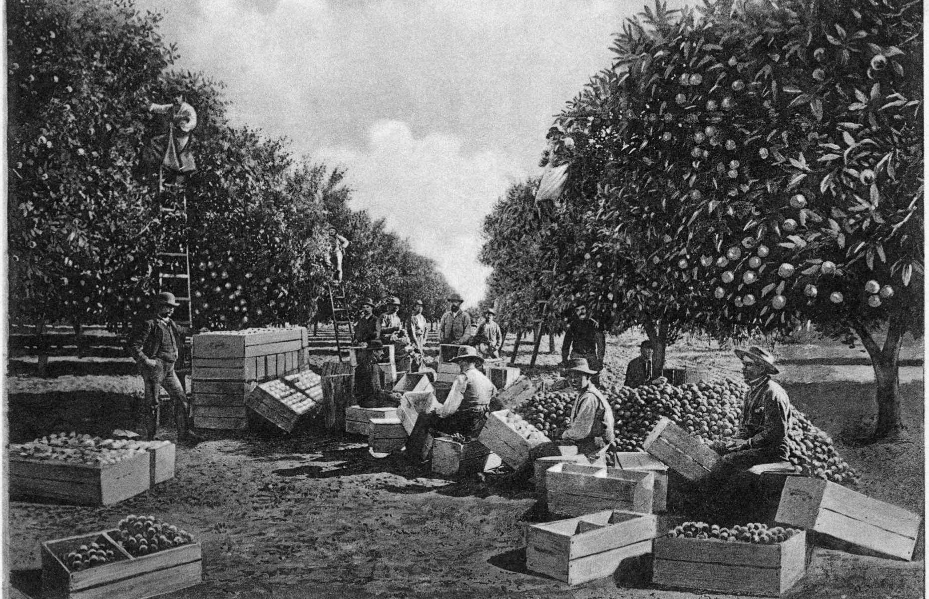 California's Earliest Photos Show How The State Really Looked 150 Years Ago