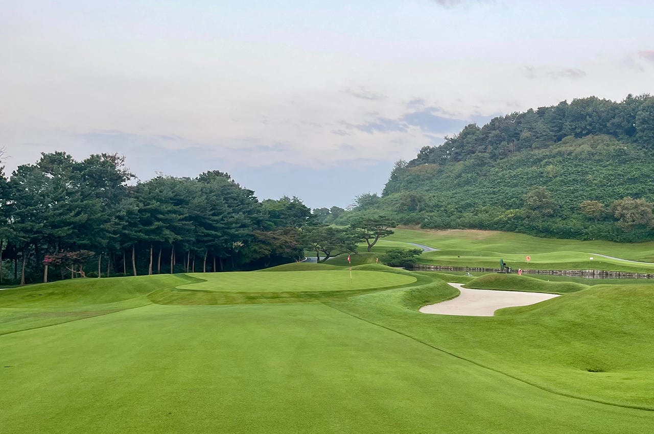 Dye Designs Group renovating the greens of a top South Korean golf course