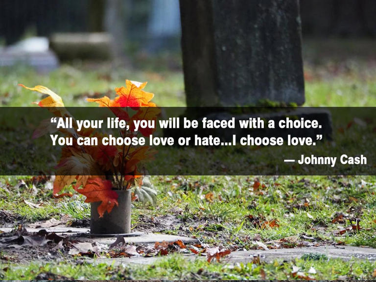 120+ Life Quotes To Live By: Inspiring, Motivating & Beautiful Words To ...