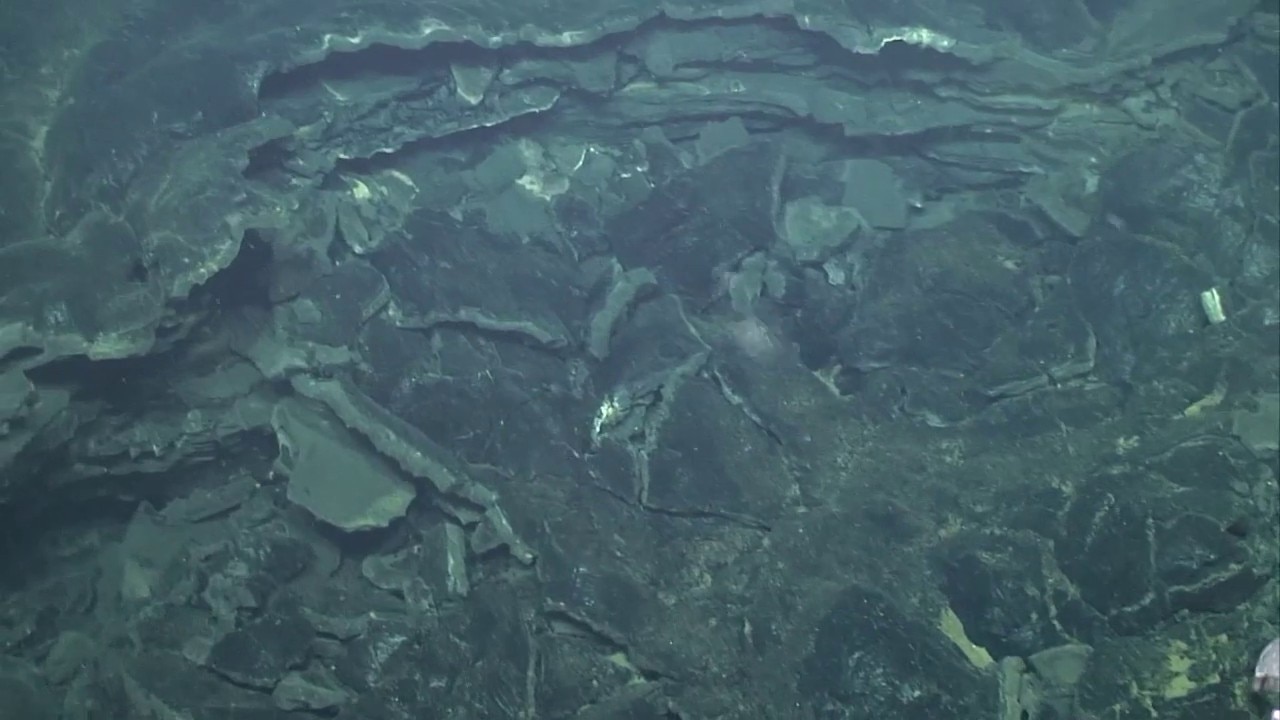 Watch: Expedition to Axial Seamount shows lava flows from 2015 undersea ...