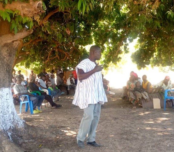 Ho Technical University to establish model baobab farms in Volta, Upper ...