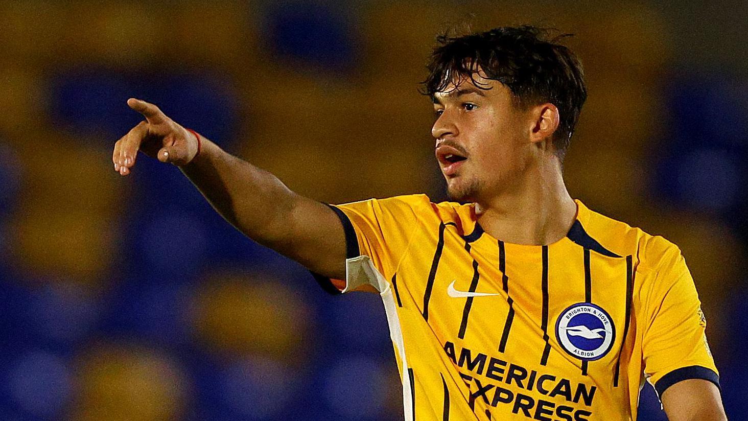 Mansfield sign Brighton forward Vickers on loan