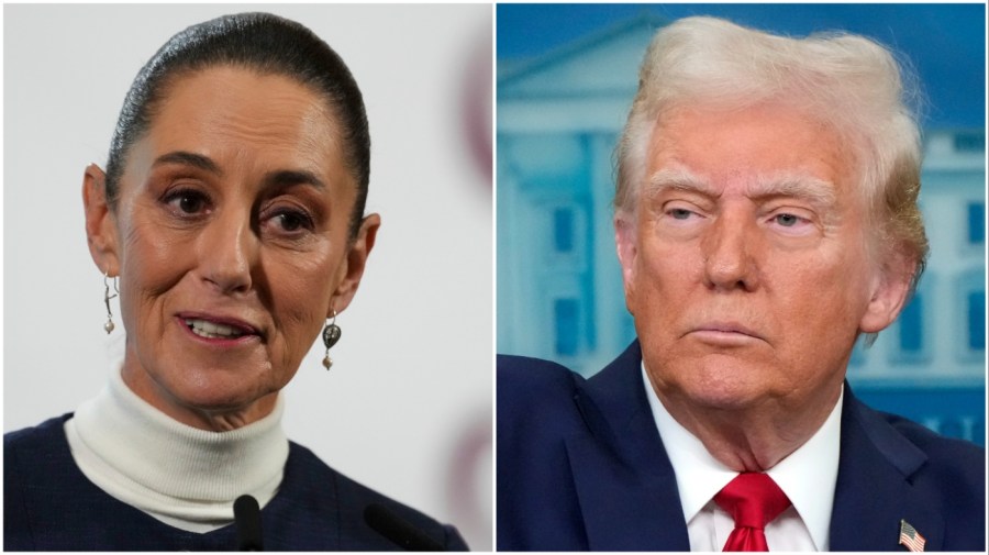 Trump, Mexican president agree to delay tariffs for one month