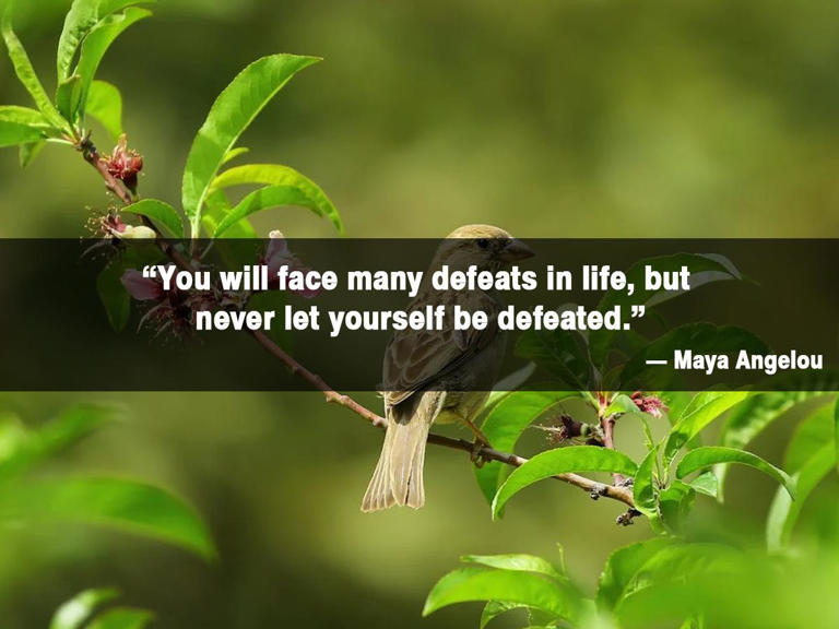 120+ Life Quotes To Live By: Inspiring, Motivating & Beautiful Words To ...