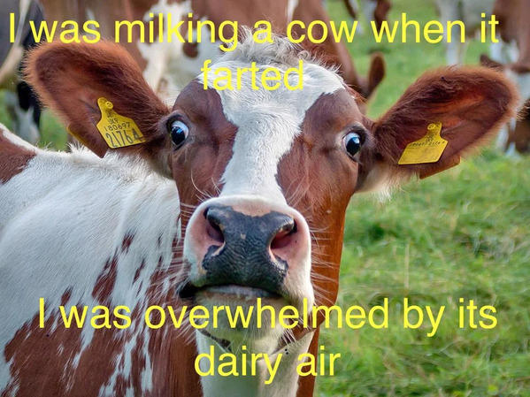 “Monday Punday”: 40 Funny Pun Memes To Start Your Week Pun-Derfully ...