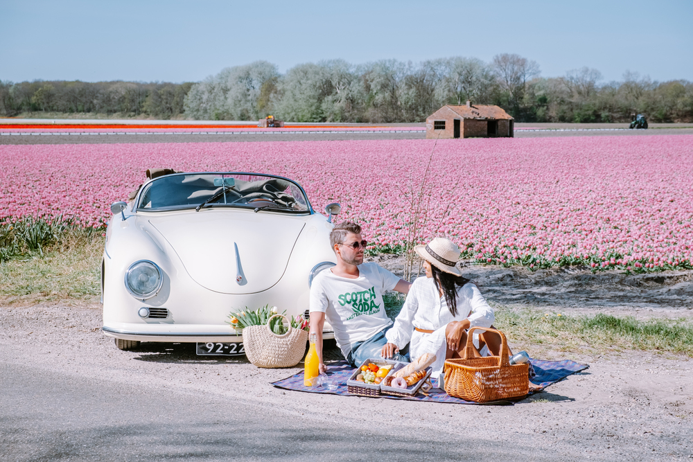 17 Amazing Road Trips You Can Take in Mexico