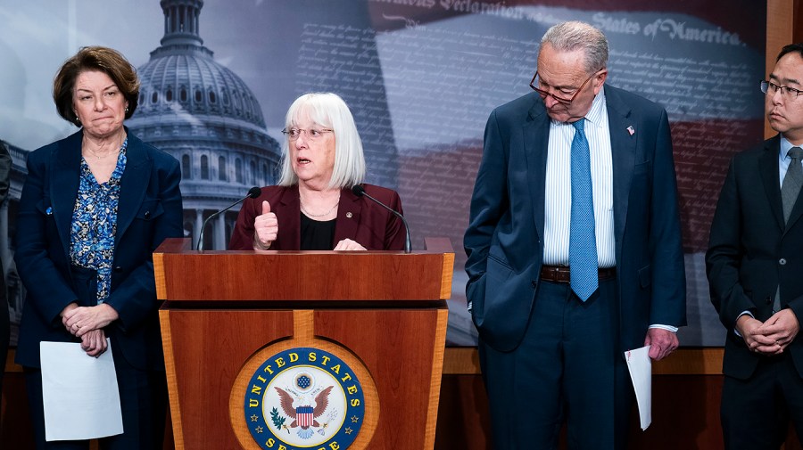 Watch: Democratic senators ‘sound alarm’ over Musk, DOGE