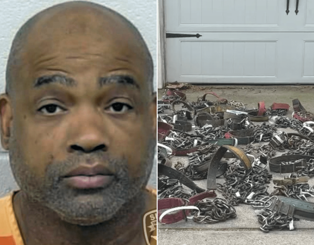 Georgia man sentenced to 475 years for underground dogfighting ring