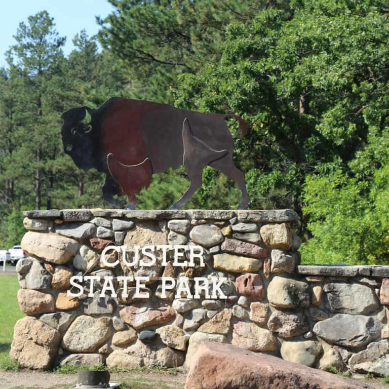 Complete Guide to Custer State Park Custer State Park