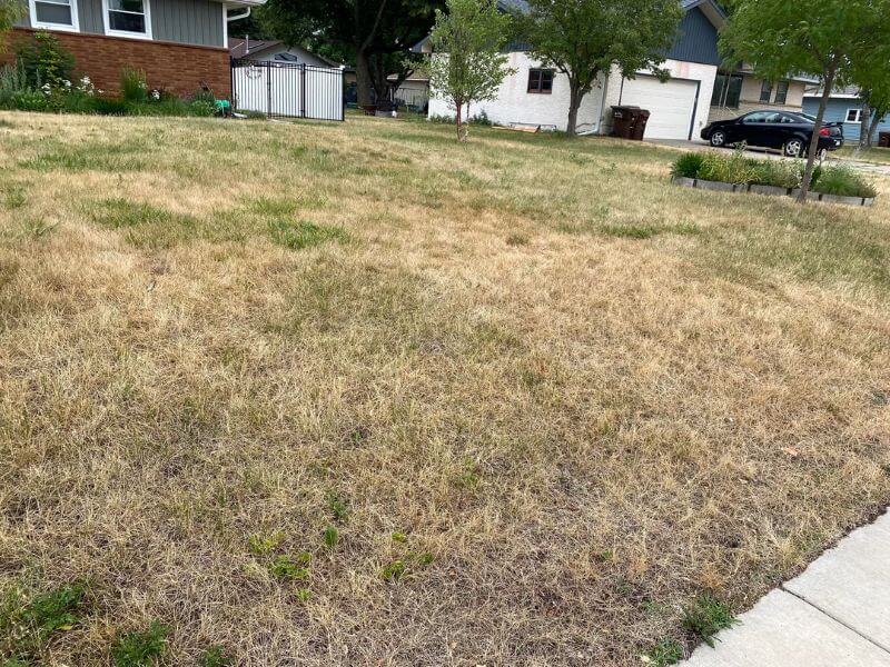 Gardener shares striking before-and-after photos after replacing part ...