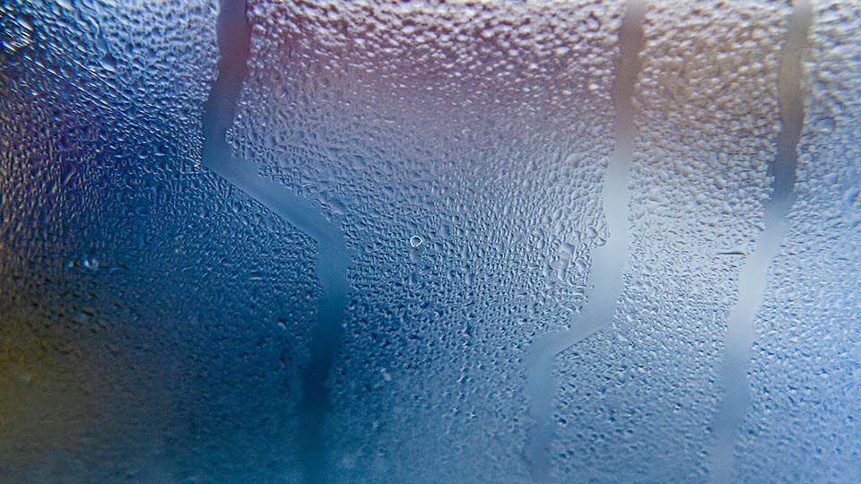 Mist/Drizzle/Fog and even a pocket of Freezing Drizzle possible through ...