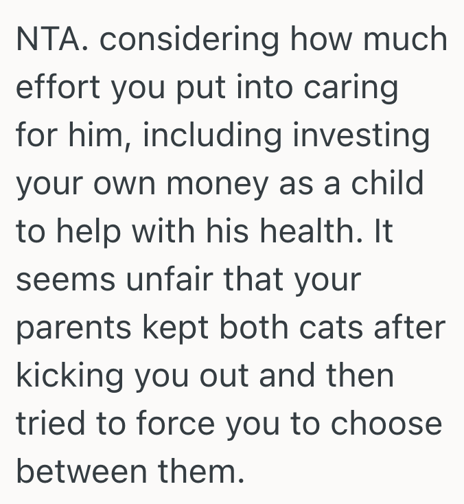 Girl’s Parents Give Her Two Cats And Tell Her That They Are Her Cats ...