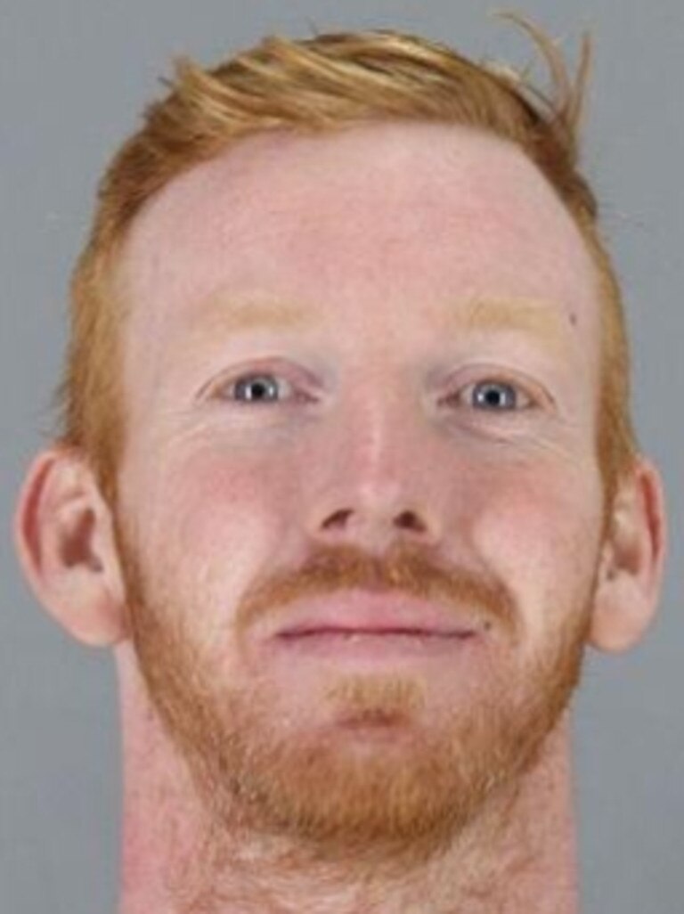 New probe for alleged Pam the Bird artist