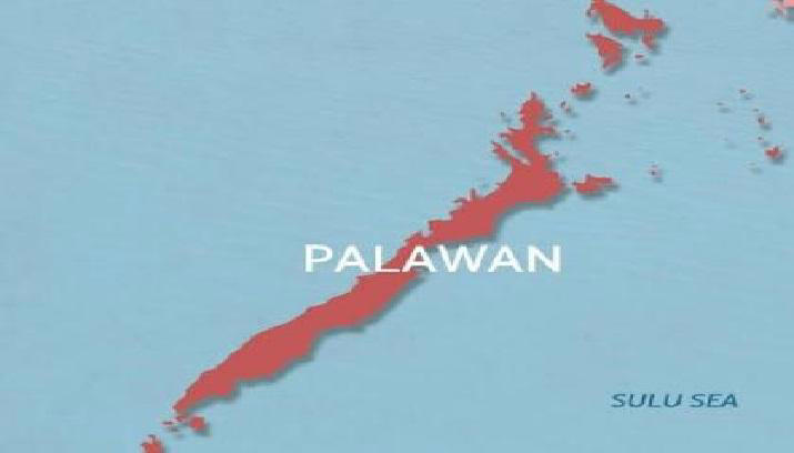5-year-old girl dead after being hit by tricycle in Palawan