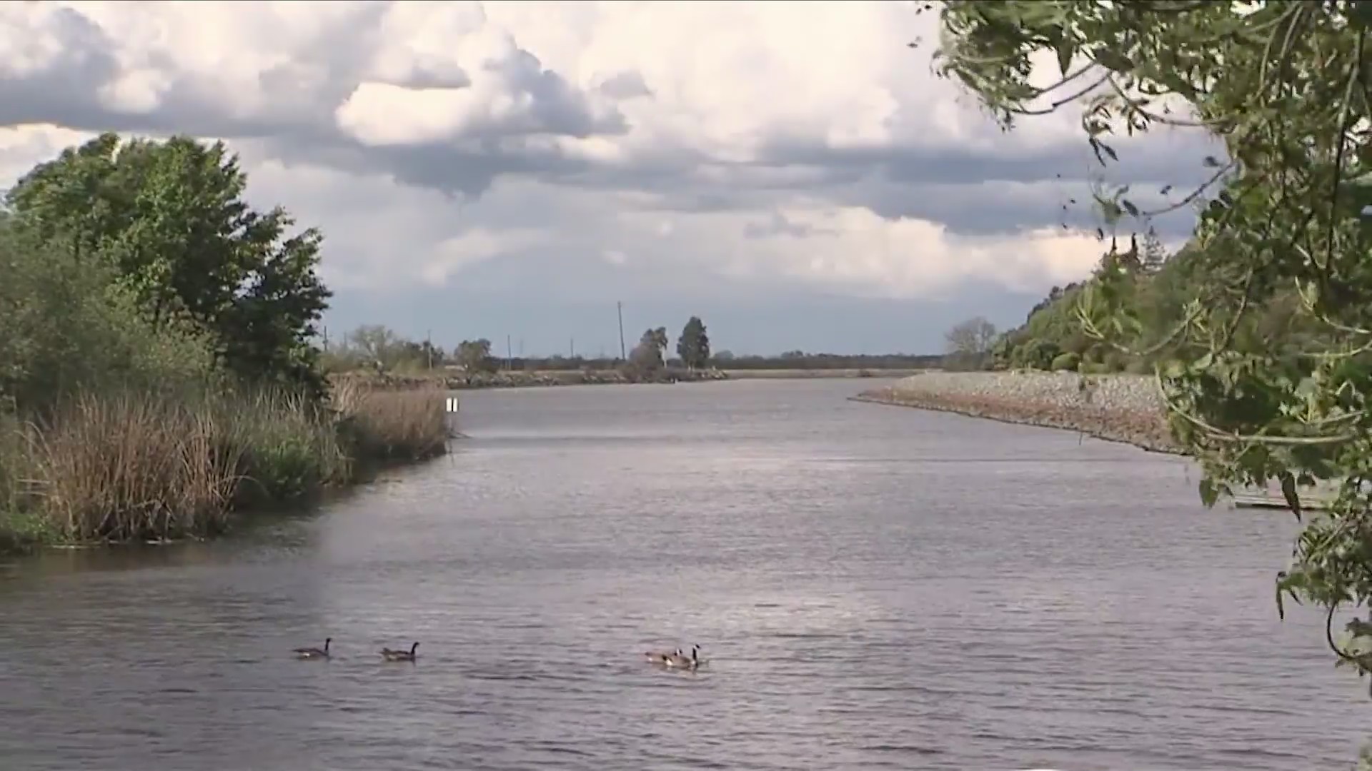 Jim Costa, Tulare County Farm Bureau react to unplanned water release