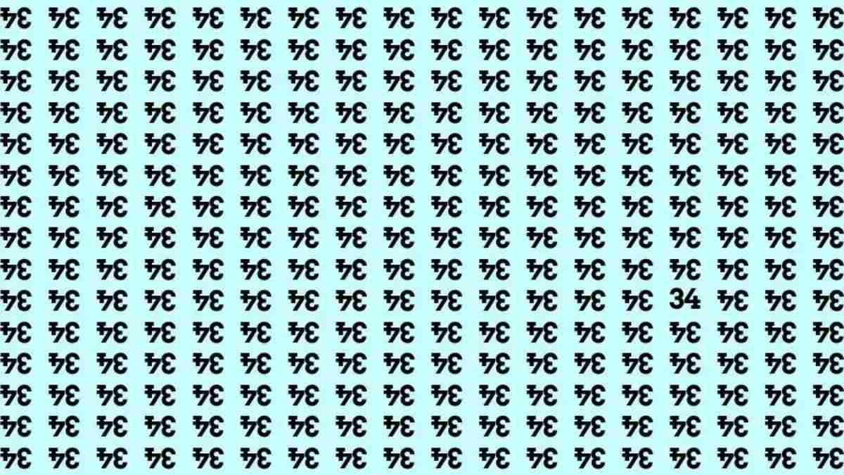 Optical Illusion IQ Test: Can You Spot The Number 34 Hidden Among ...