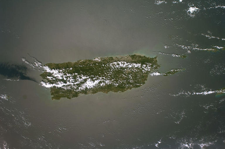 In New Trump Era, Diaspora Group Calls for Puerto Rico Independence