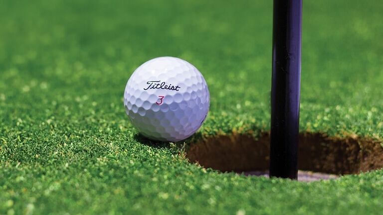 ‘Wee golf course’ proposed in Benton Harbor