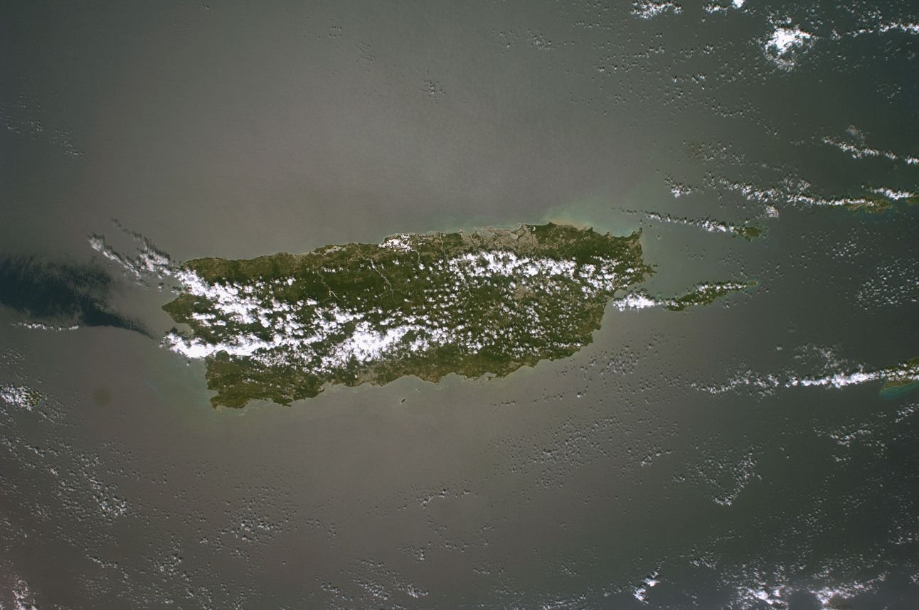 In New Trump Era, Diaspora Group Calls for Puerto Rico Independence