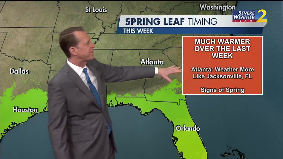 Warm weather is making pollen rise across parts of Georgia