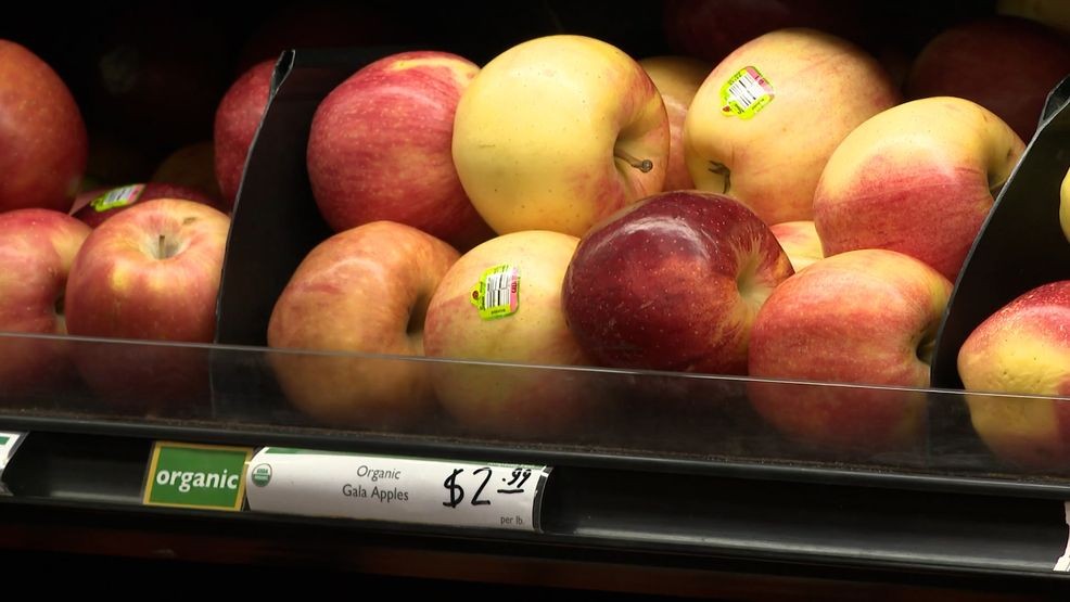 Michigan's summer EBT program returns this month. Here's everything you ...