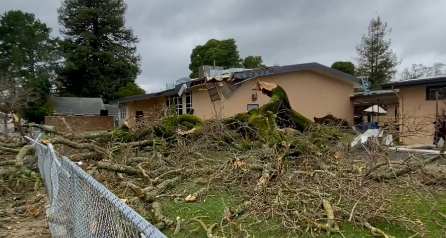 ‘Big boom’: Tree falls on Santa Rosa elementary school