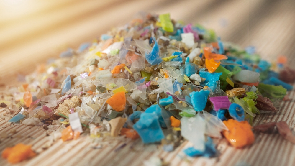 Microplastics in the Brain: A New Hidden Health Threat?