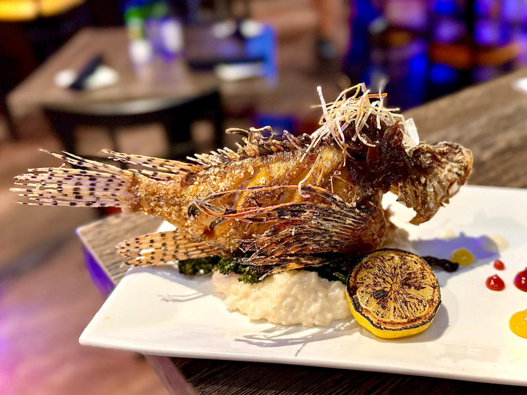 Best New Smyrna Beach restaurants for seafood, drinks or tapas