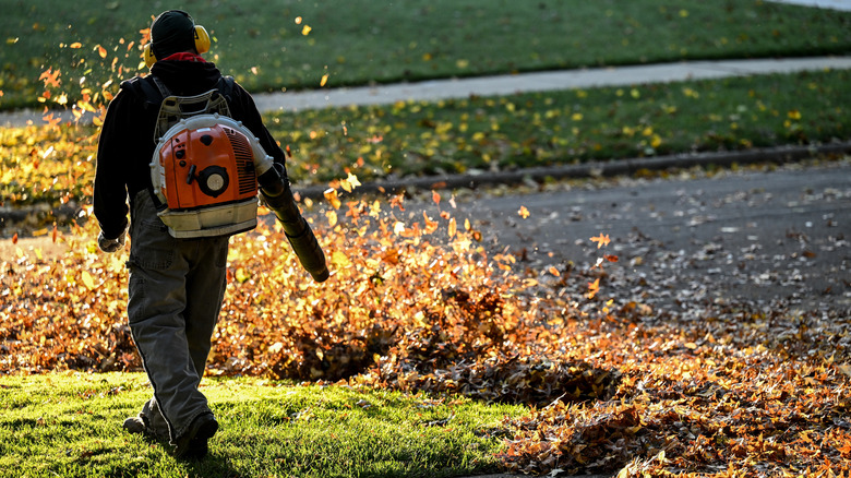 Leaf Blower Brands That Will Leave Your Lawn Spick And Span
