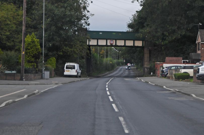 Woman in hospital after falling from bridge