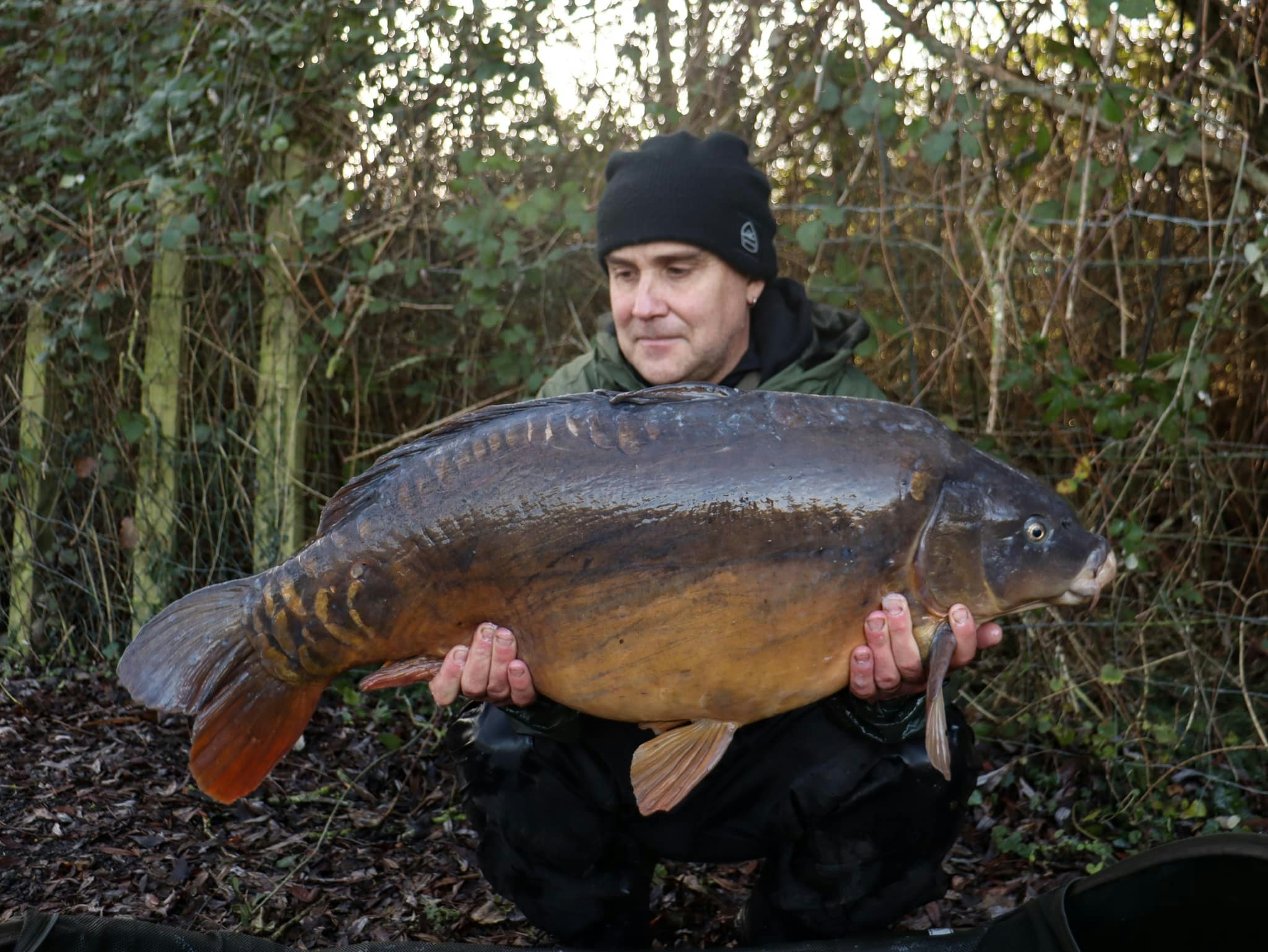 Monster carp tops prolific winter session