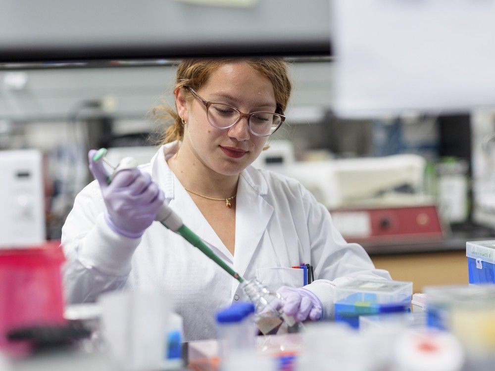 Young Innovators: U of S researcher uses bat immune systems to find ...