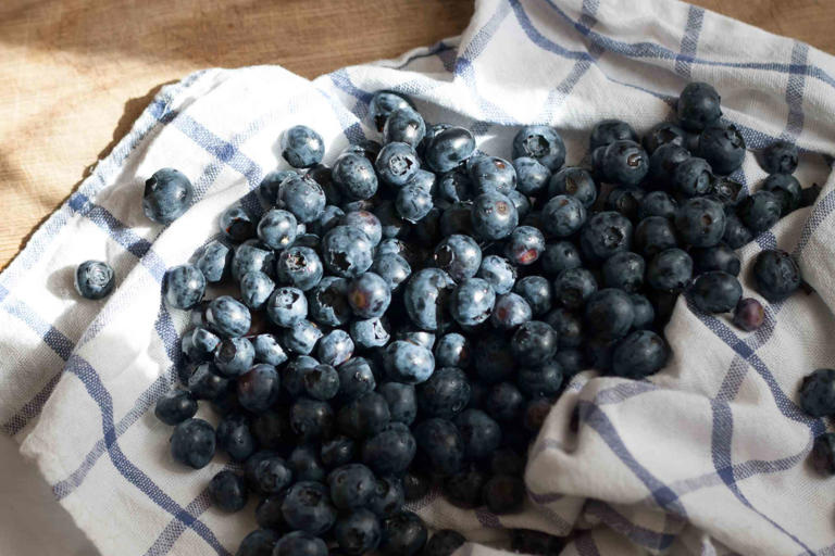 The Only Way To Prevent Blueberries From Rotting, According to Experts
