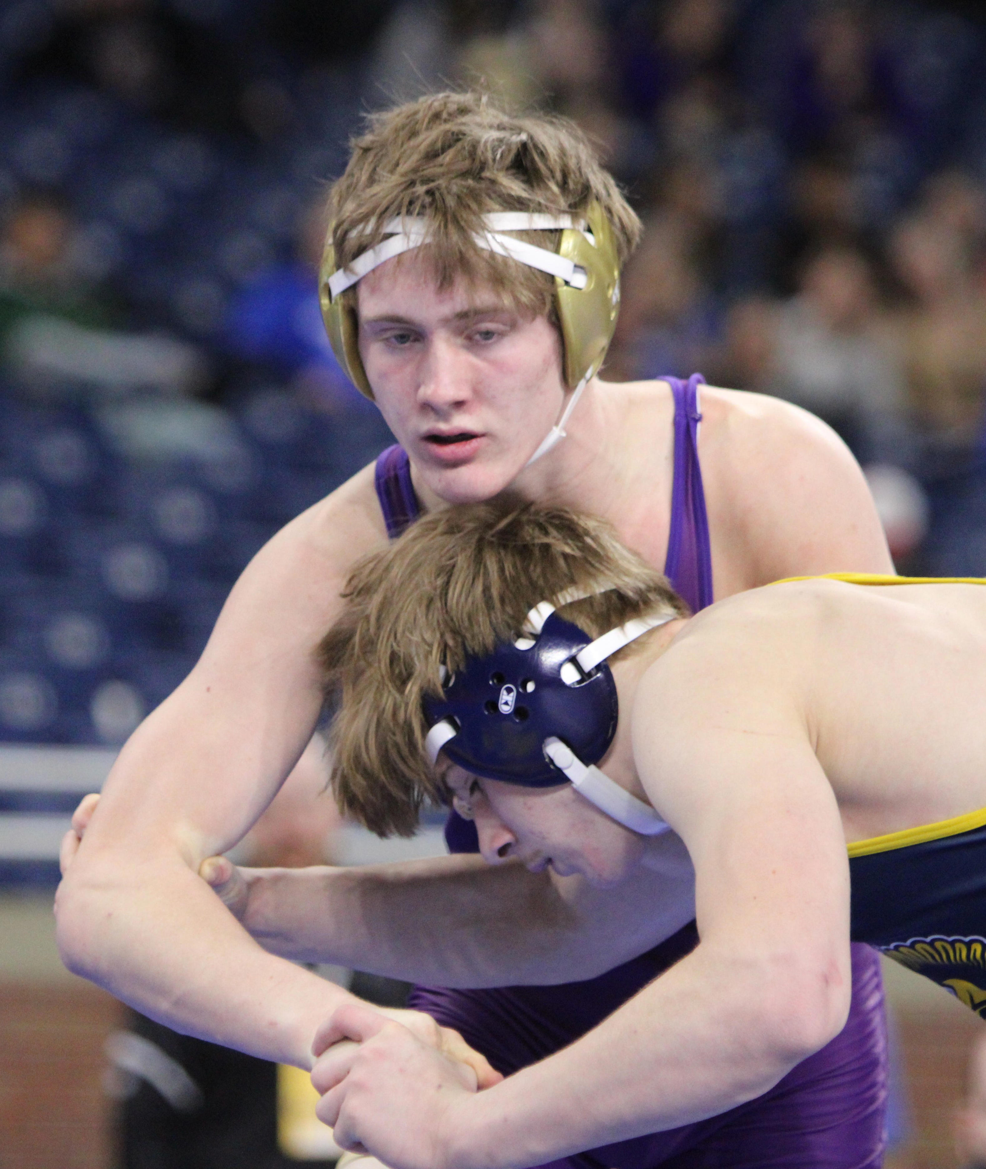 State-ranked Fowlerville, Mason expected to meet in team wrestling ...