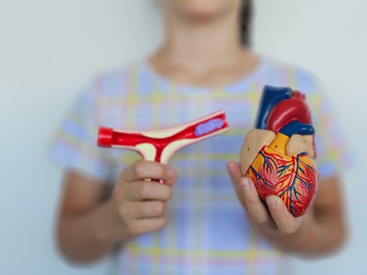 Hope, worry cloud research for kids born with heart defects